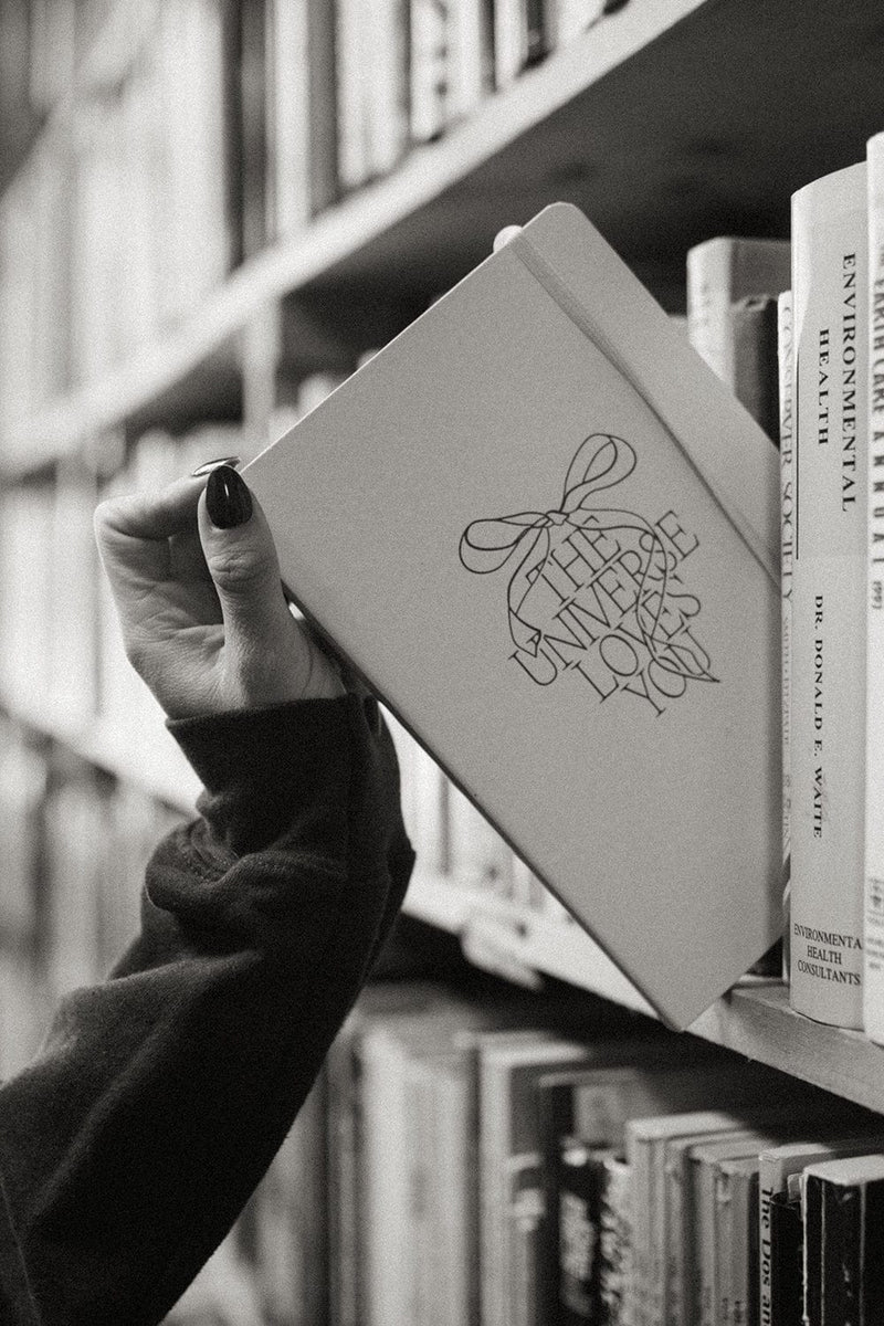 Lauren Raymond: The Universe Loves You Notebook – Fanjoy